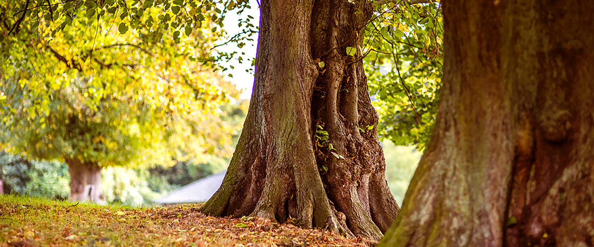 Home | City of Leon Kansas